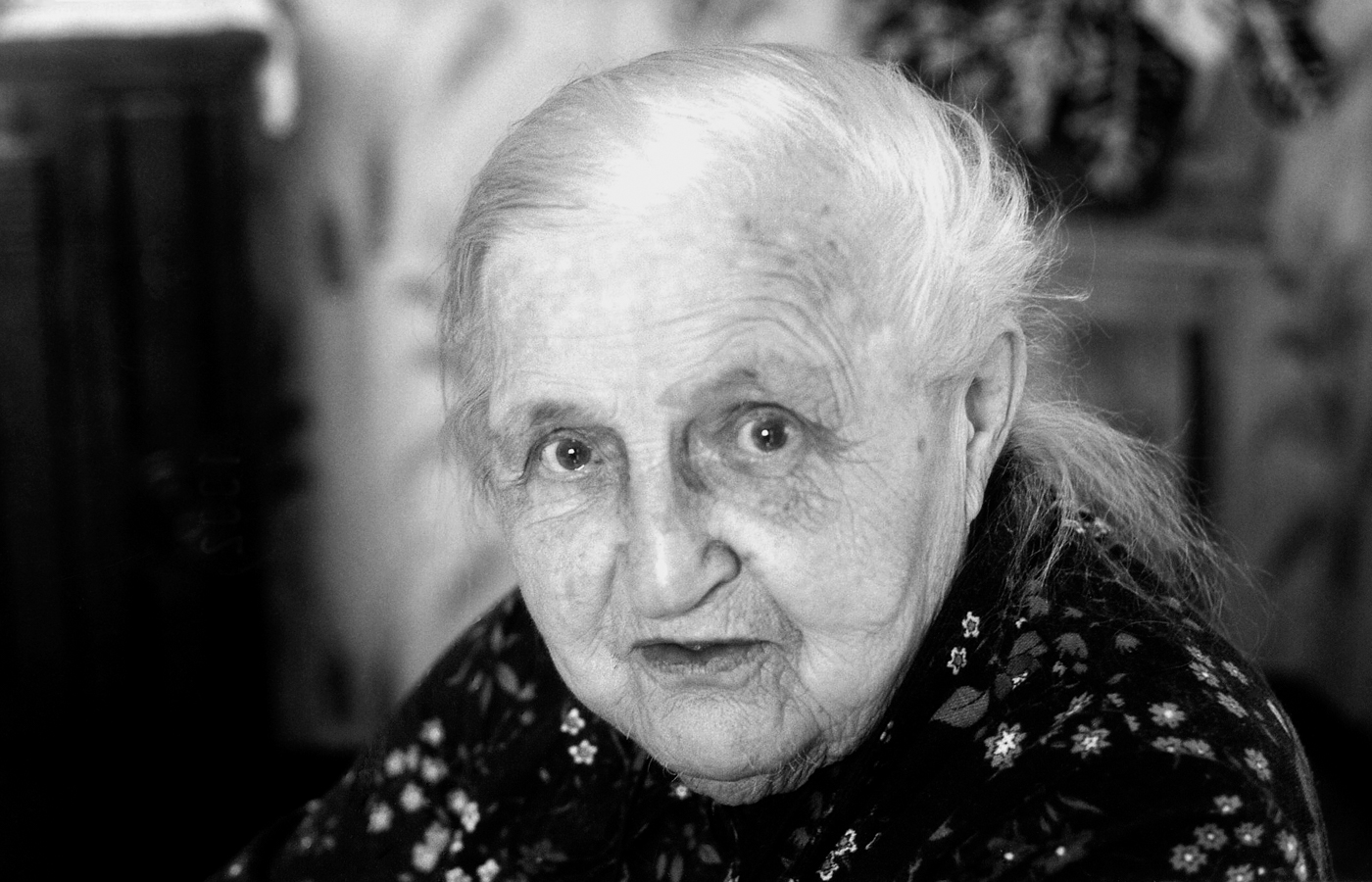 Regards - Denis Châtelain Photographies