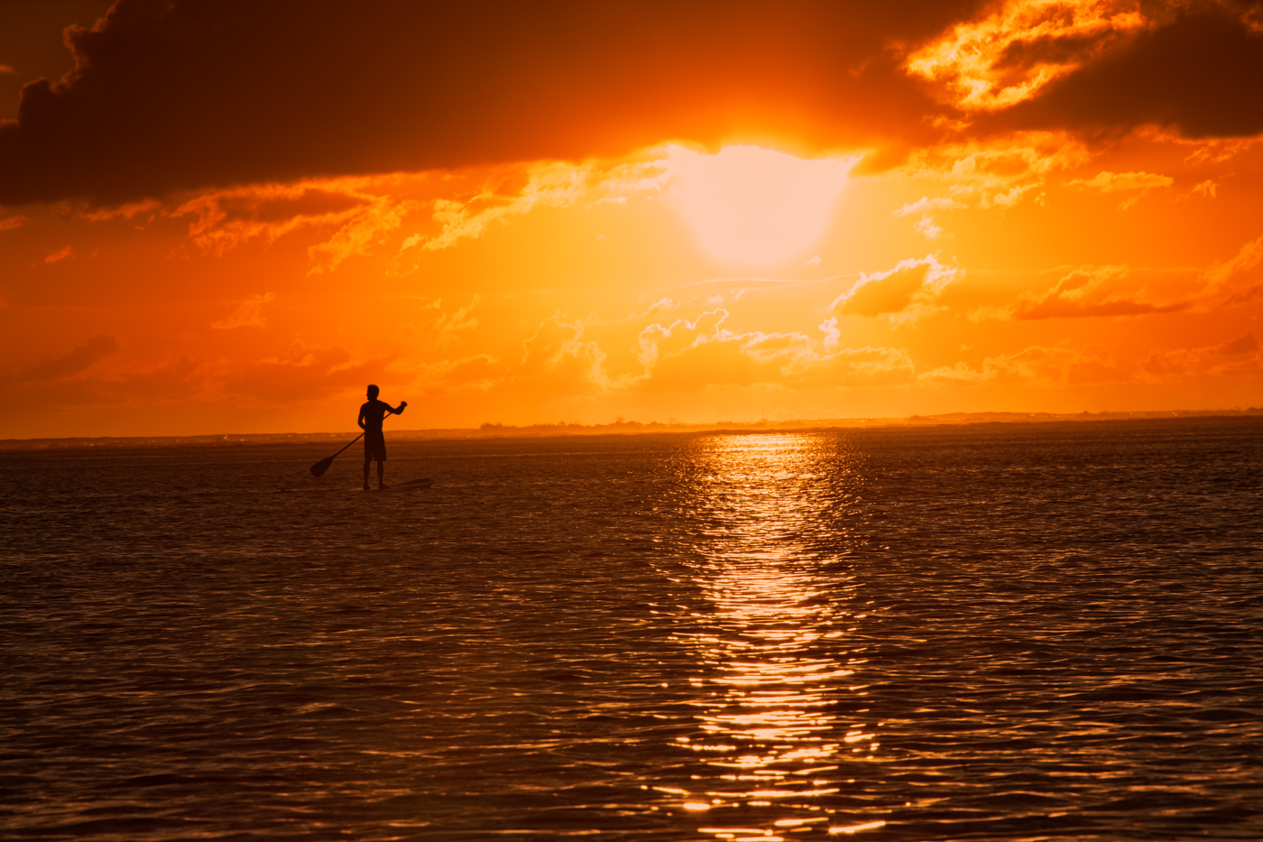 Soleils - Denis Châtelain Photographies